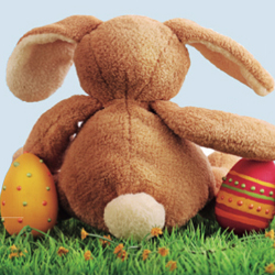 Family activities and events for primary school children | Primary Times